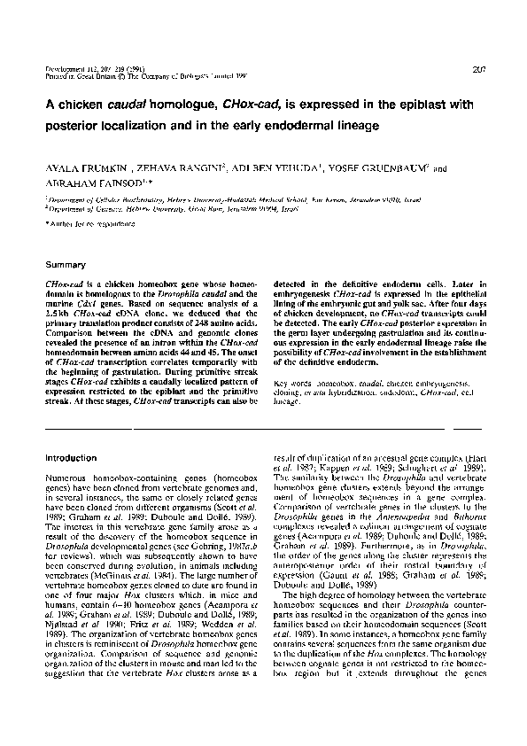 (PDF) A chicken caudal homologue, CHox-cad, is expressed in the ...
