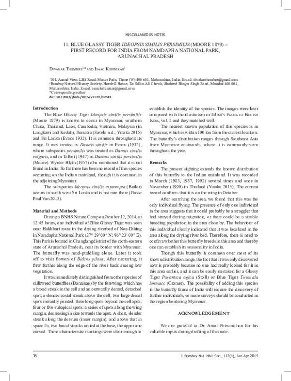(PDF) Blue Glassy Tiger Ideopsis similis persimilis (Moore 1879 ...