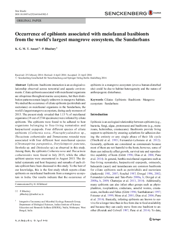 (PDF) Occurrence of epibionts associated with meiofaunal basibionts ...