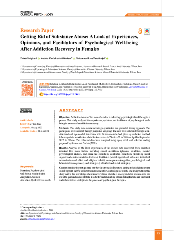 (PDF) Getting Rid of Substance Abuse: A Look at Experiences, Opinions ...