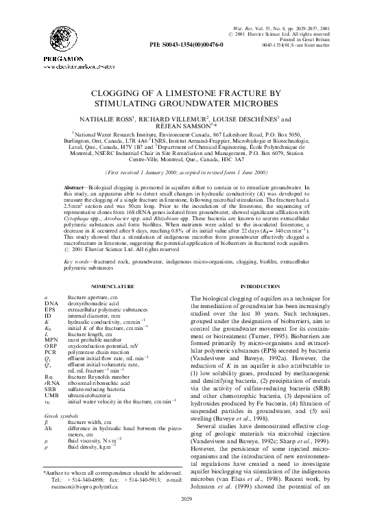 (PDF) Clogging of a limestone fracture by stimulating groundwater microbes