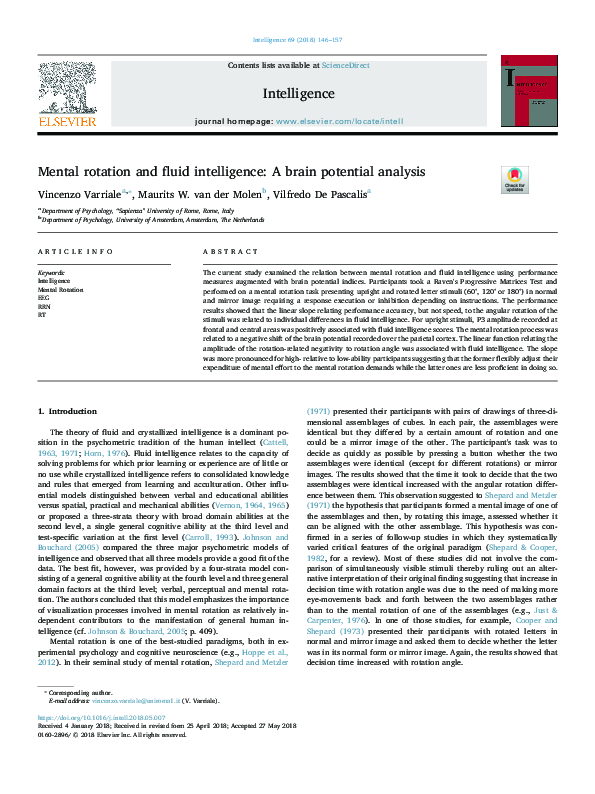 (PDF) Mental rotation and fluid intelligence: A brain potential analysis