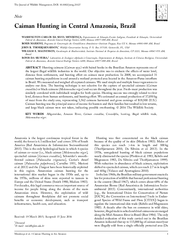 (PDF) Caiman hunting in Central Amazonia, Brazil
