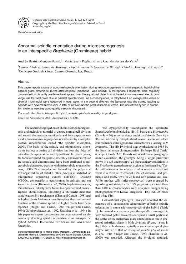 (PDF) Abnormal spindle orientation during microsporogenesis in an ...