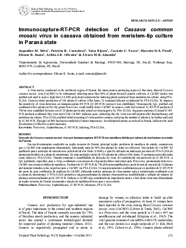 (PDF) Immunocapture-RT-PCR detection of Cassava common mosaic virus in cassava obtained from ...