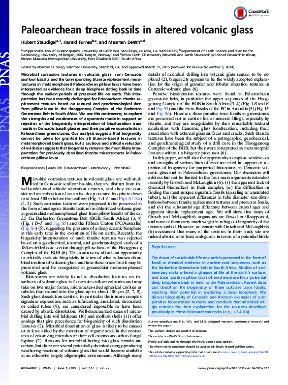(PDF) Paleoarchean trace fossils in altered volcanic glass | Hubert ...