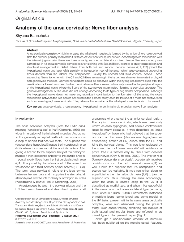 (PDF) Anatomy of the ansa cervicalis: Nerve fiber analysis
