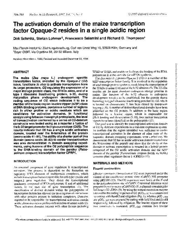(PDF) The activation domain of the maize transcription factor Opaque-2 resides in a single ...