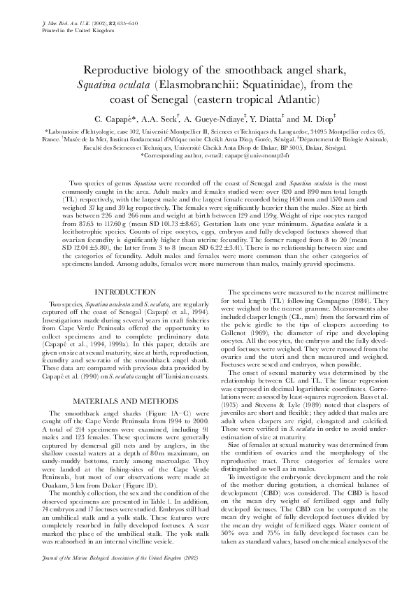 (PDF) Reproductive biology of the smoothback angel shark, Squatina ...