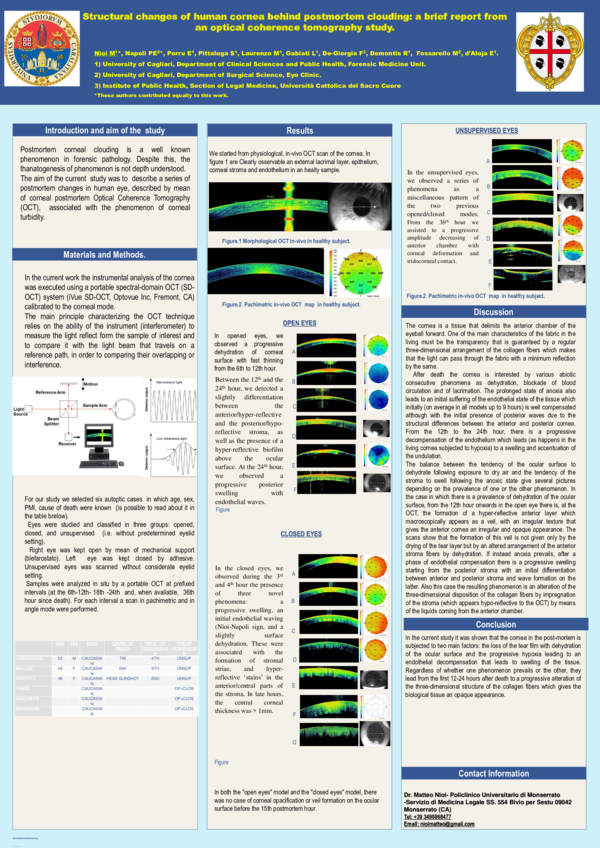 (PDF) Structural changes of human cornea behind postmortem clouding: a brief report from an ...