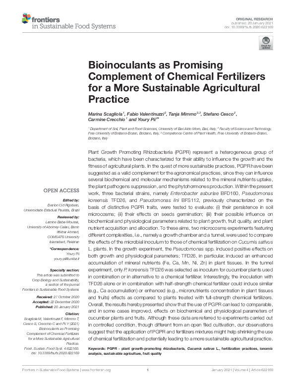 (PDF) Bioinoculants as Promising Complement of Chemical Fertilizers for ...