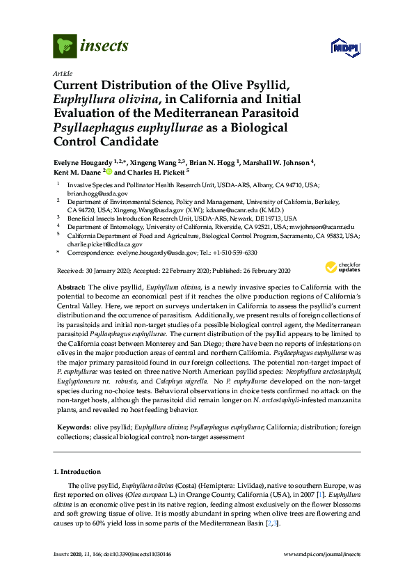 (PDF) Current Distribution of the Olive Psyllid, Euphyllura olivina, in ...
