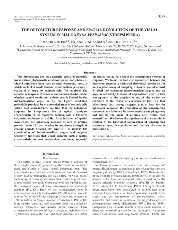 (PDF) The Optomotor Response and Spatial Resolution of the Visual ...