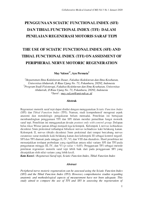 (PDF) Penggunaan Sciatic Functional Index (Sfi) Dan Tibial Functional Index (Tfi) Dalam ...