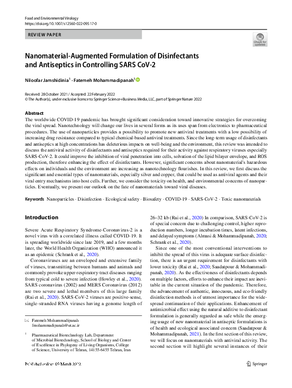 Nanomaterial-Augmented Formulation of Disinfectants and Antiseptics in ...