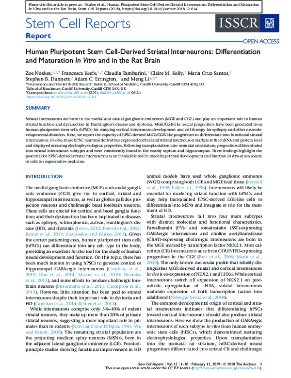 (PDF) Human Pluripotent Stem Cell-Derived Striatal Interneurons ...