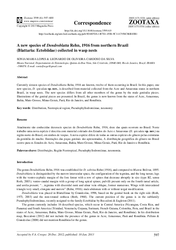 (PDF) A new species of Dendroblatta Rehn, 1916 from northern Brazil ...