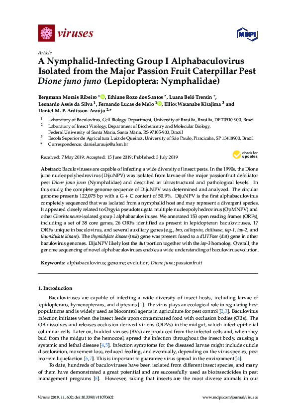(PDF) A Nymphalid-Infecting Group I Alphabaculovirus Isolated from the ...