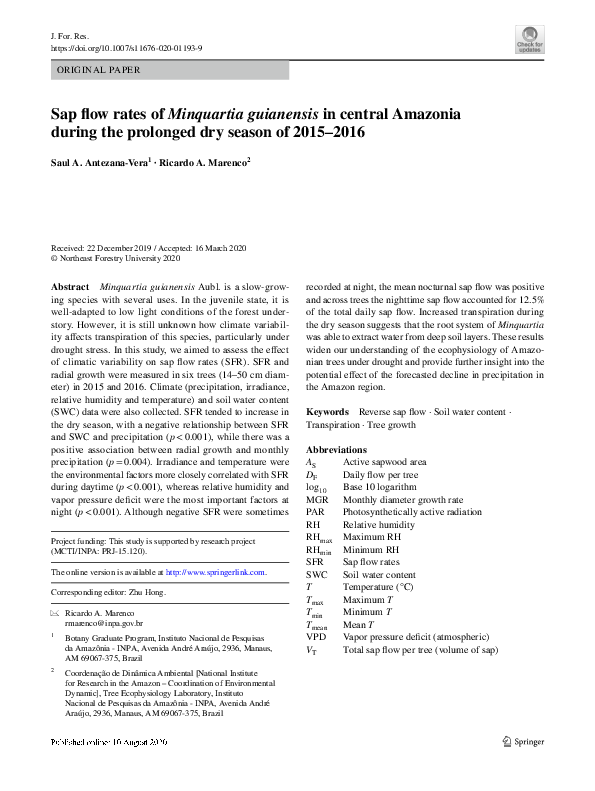 (PDF) Sap flow rates of Minquartia guianensis in central Amazonia ...