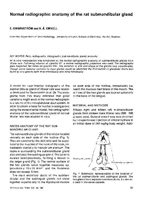 (PDF) Normal Radiographic Anatomy of the Rat Submandibular Gland