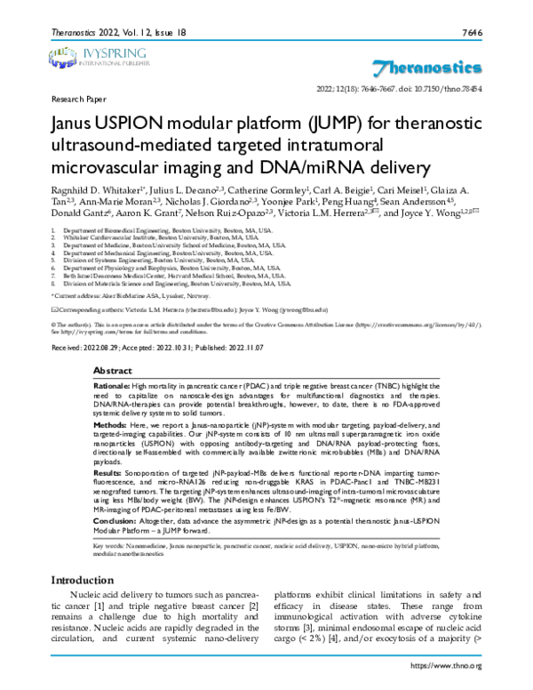 (PDF) Janus USPION modular platform (JUMP) for theranostic ultrasound ...