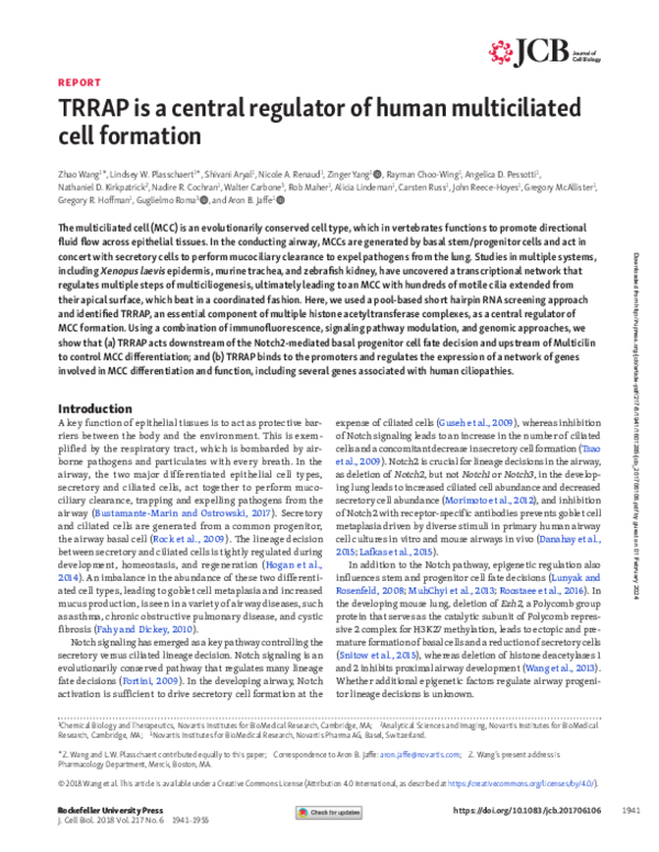 (PDF) TRRAP is a central regulator of human multiciliated cell formation