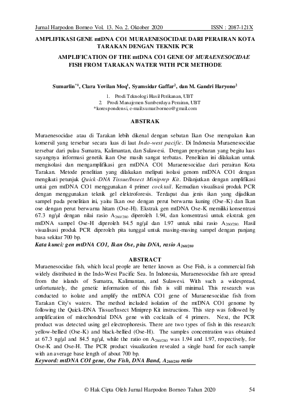 (PDF) AMPLIFIKASI GENE mtDNA CO1 IKAN MALONG (MURAENESOCIDAE) DARI ...