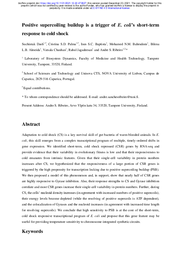 (PDF) Positive supercoiling buildup is a trigger of E. coli’s short ...