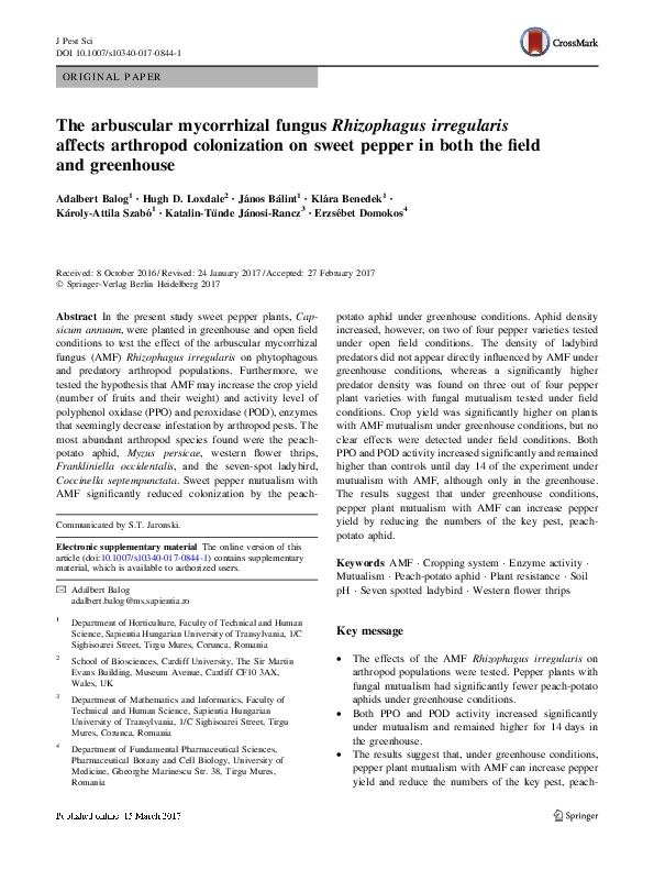 (PDF) Arbuscular Mycorrhizal Fungus “Rhizophagus irregularis” impacts ...