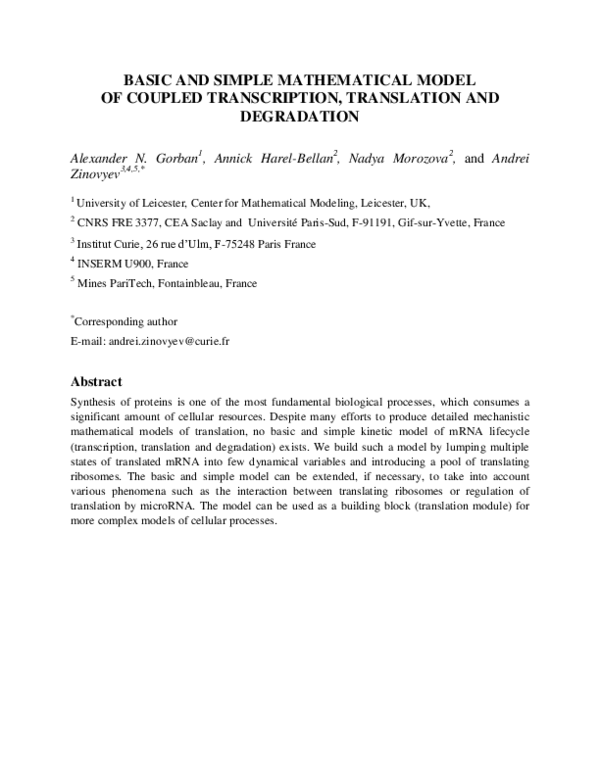 (PDF) Basic, simple and extendable kinetic model of protein synthesis