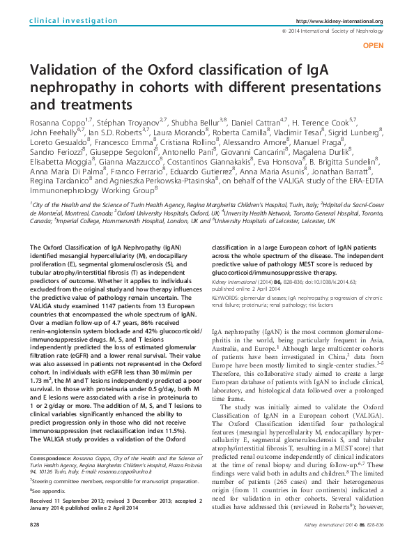 (PDF) Validation of the Oxford classification of IgA nephropathy in cohorts with different ...