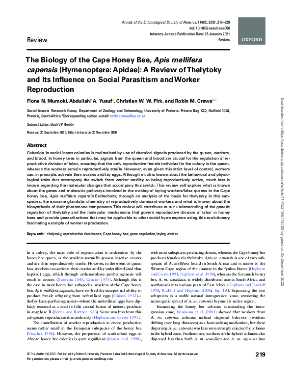 (PDF) The Biology of the Cape Honey Bee, Apis mellifera capensis ...