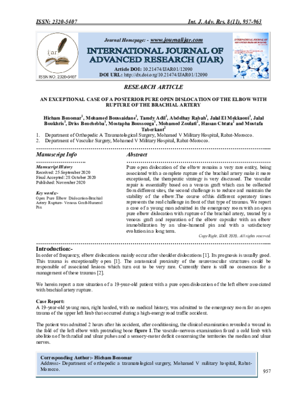 (PDF) An Exceptional Case of a Posterior Pure Open Dislocation of the ...