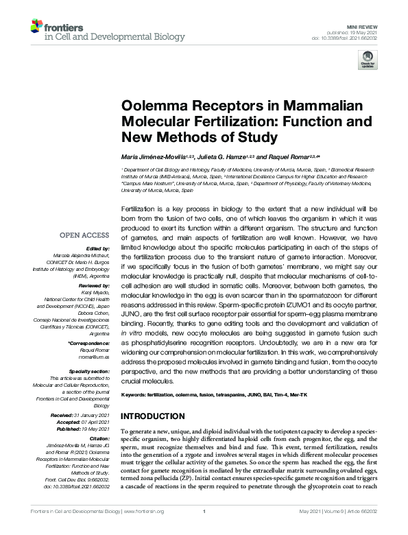 (PDF) Oolemma Receptors in Mammalian Molecular Fertilization: Function ...