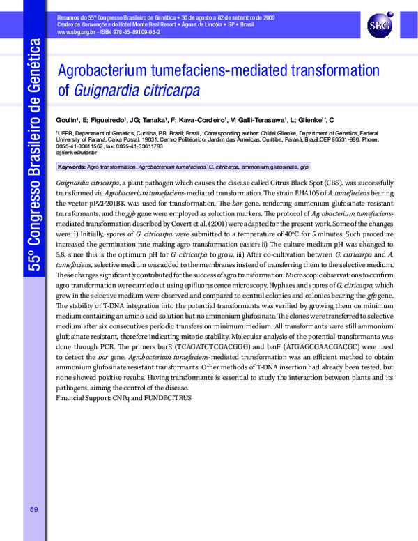 (PDF) Agrobacterium tumefaciens-mediated transformation of Guignardia ...