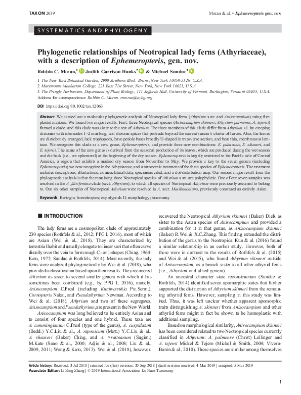 (PDF) Phylogenetic relationships of Neotropical lady ferns (Athyriaceae ...