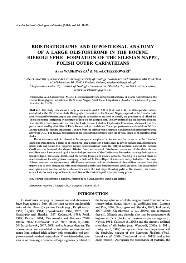 (PDF) Biostratigraphy and depositional anatomy of a large olistostrome in the Eocene ...
