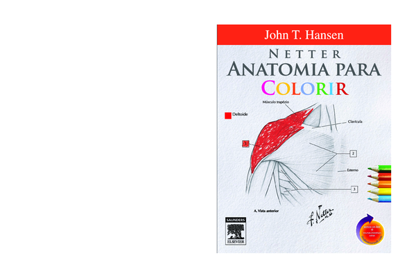 (PDF) ATLAS DE ANATOMIA PARA COLORIR NETTER