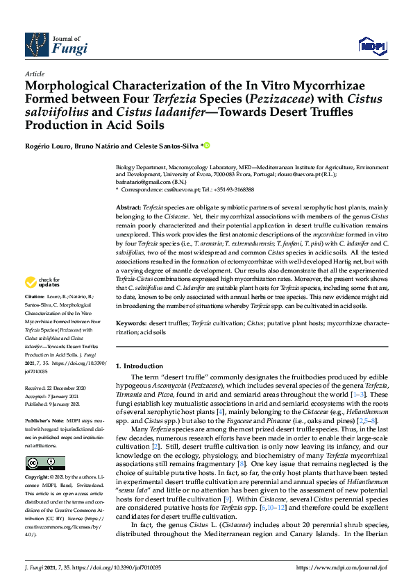 (PDF) Morphological Characterization of the In Vitro Mycorrhizae Formed ...