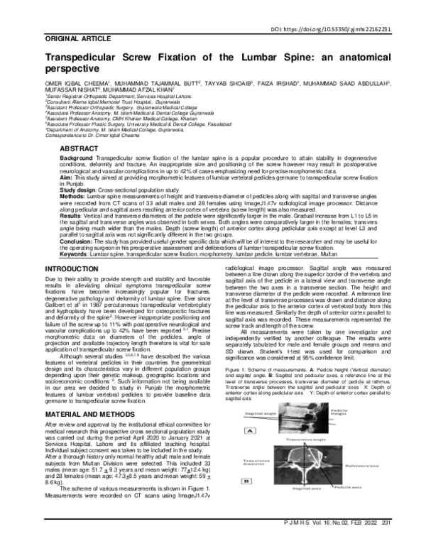(PDF) Morphometric Analysis for Lumbar Spine Screw Fixation