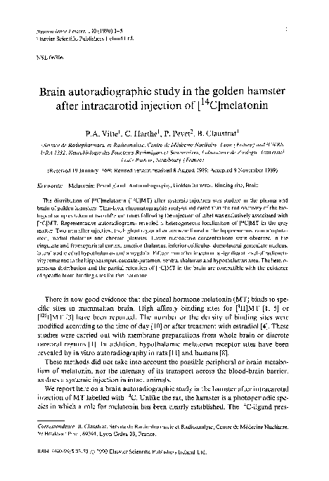 (PDF) Brain autoradiographic study in the golden hamster after ...
