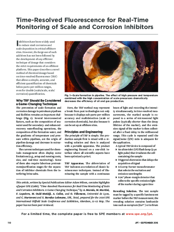 (PDF) Time-Resolved Fluorescence for Real-Time Monitoring of Both Scale ...