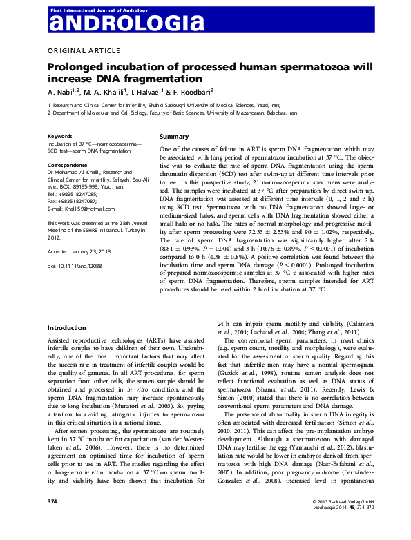 (PDF) Prolonged incubation of processed human spermatozoa will increase ...