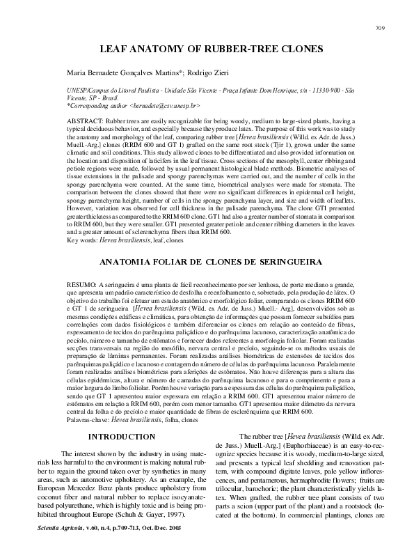 (PDF) Leaf anatomy of rubber-tree clones 709 Scientia Agricola, v.60, n ...