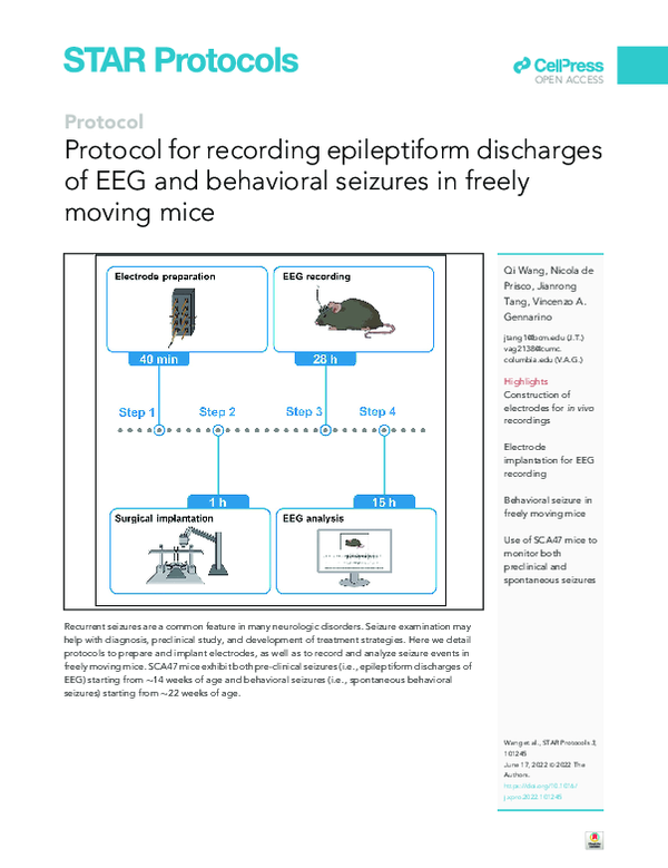 (PDF) Protocol for recording epileptiform discharges of EEG and behavioral seizures in freely ...