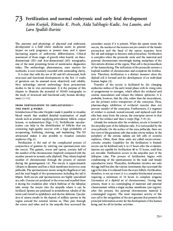 (PDF) Fertilization and normal embryonic and early fetal development