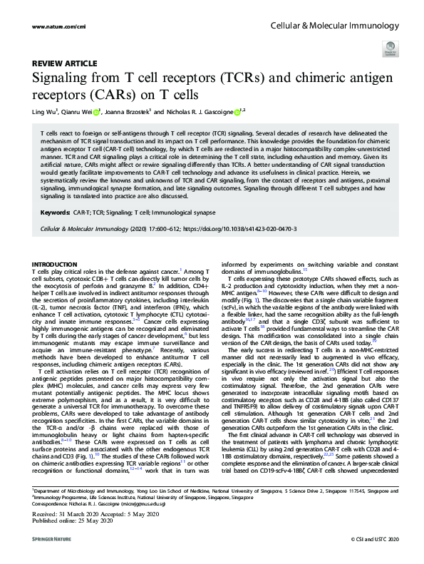 (PDF) Signaling from T cell receptors (TCRs) and chimeric antigen receptors (CARs) on T cells