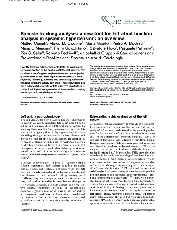(PDF) Speckle tracking analysis