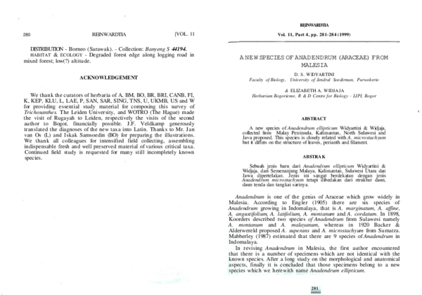 (PDF) A New Species of Anadendrum (Araceae) from Malesia