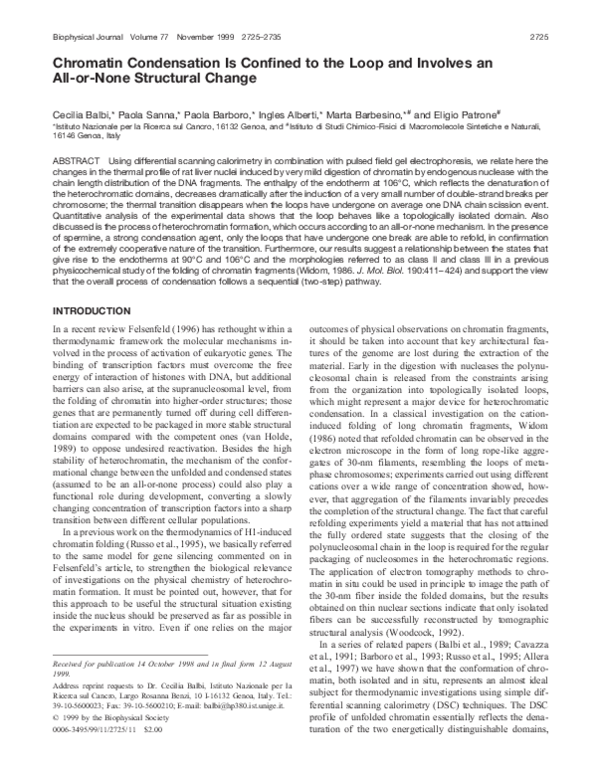 (PDF) Chromatin Condensation Is Confined to the Loop and Involves an ...